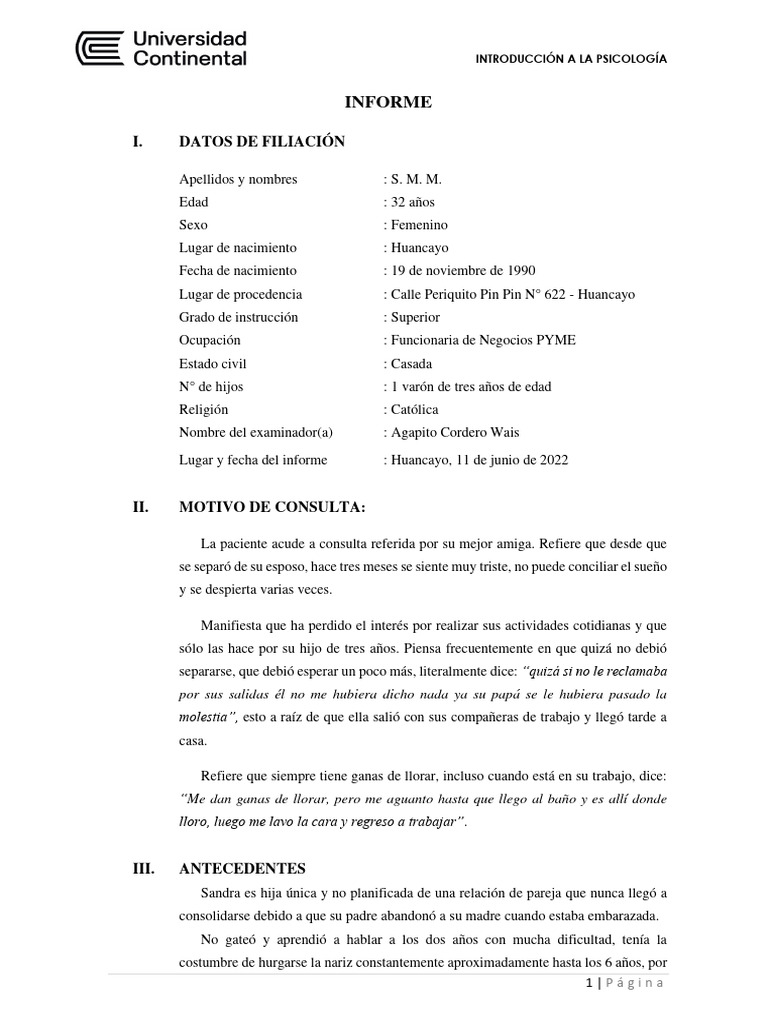 Modelo de Informe Escrito | PDF