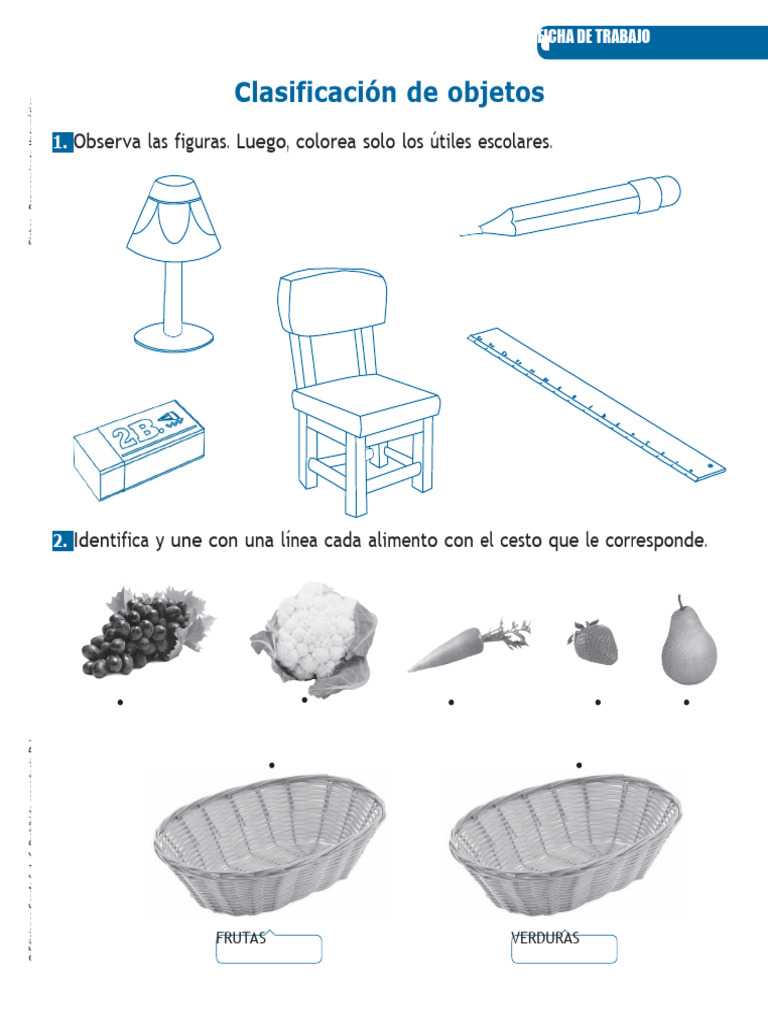 FT - Clasificación de Objetos | PDF