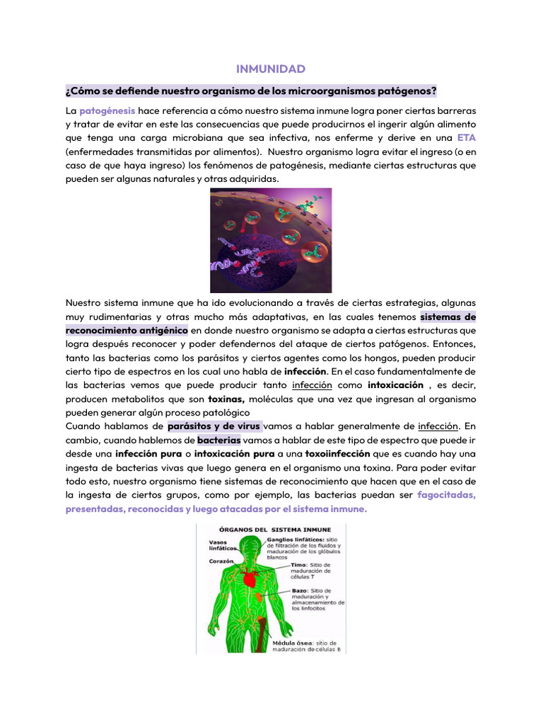 Clase 3 (Parte 1)_ Inmunidad | PDF | Sistema inmune | Antígeno