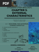 Body Shape of Fishes | PDF | Fin | Fish