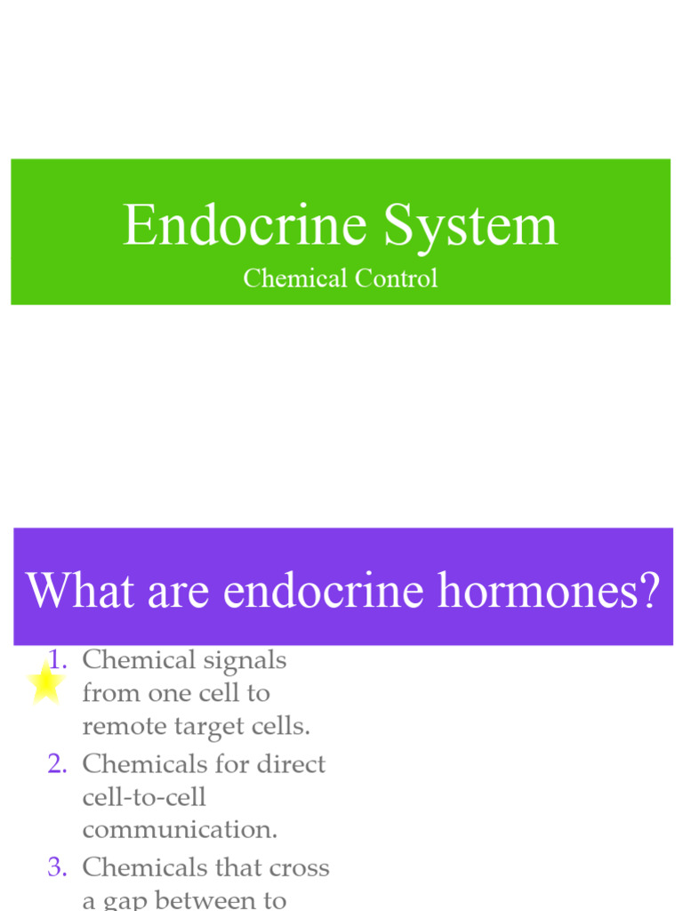 Endocrine and Hormones | PDF | Endocrine System | Hormone