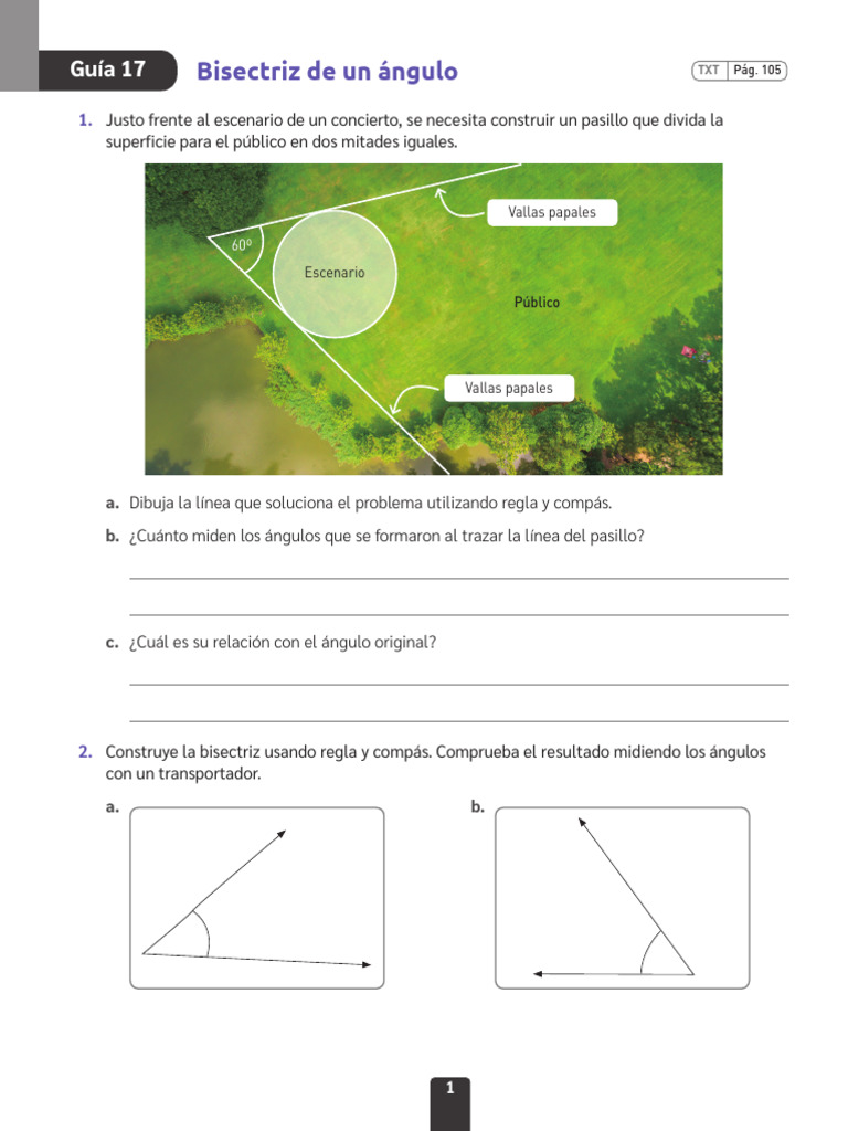 Bisectriz de un ángulo: construcción y análisis | PDF