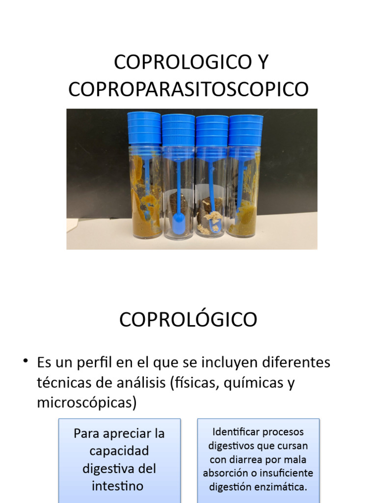 Análisis de Heces: Guía Completa | PDF | Heces | Digestión