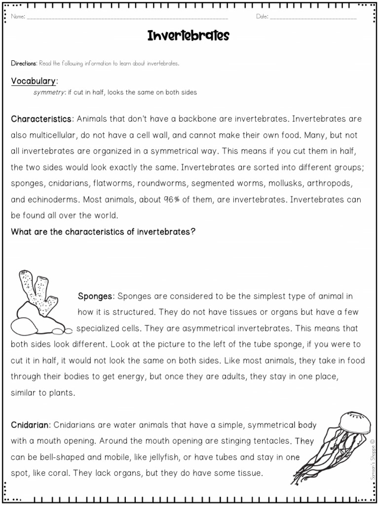 01 Invertebrates | PDF | Invertebrate | Skeleton