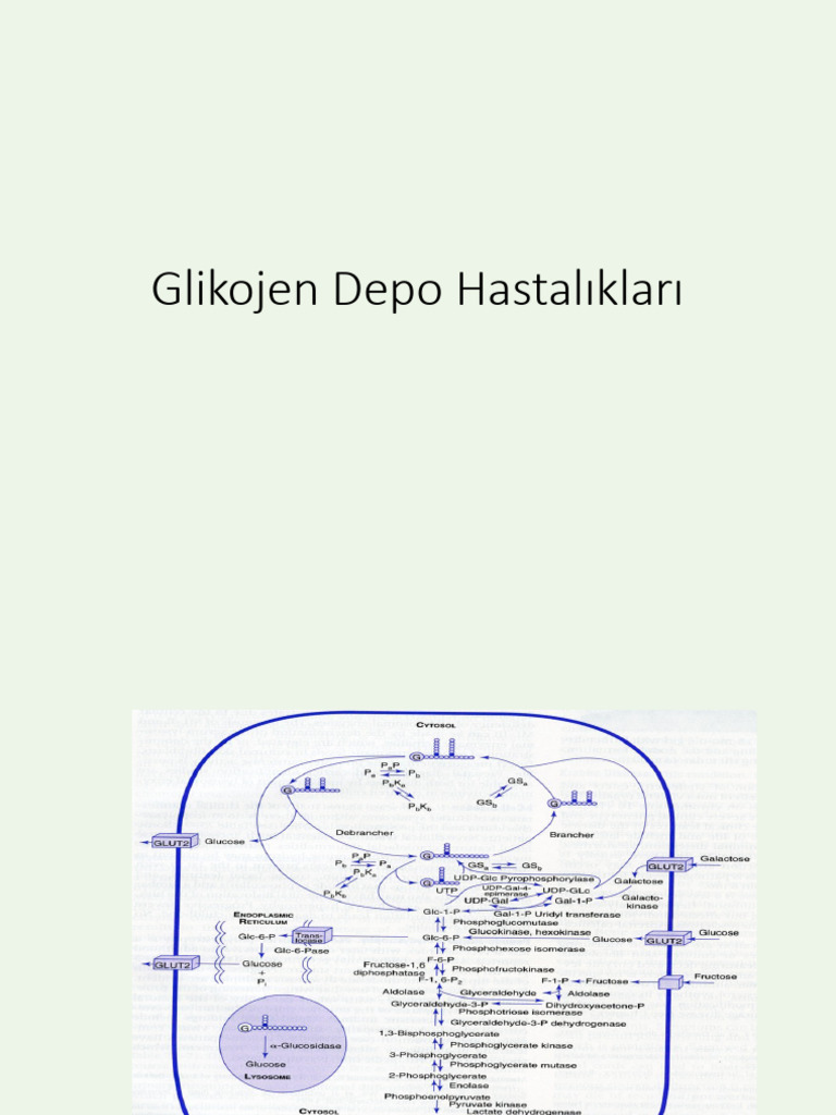 Glikojen Depo Hastalıkları | PDF