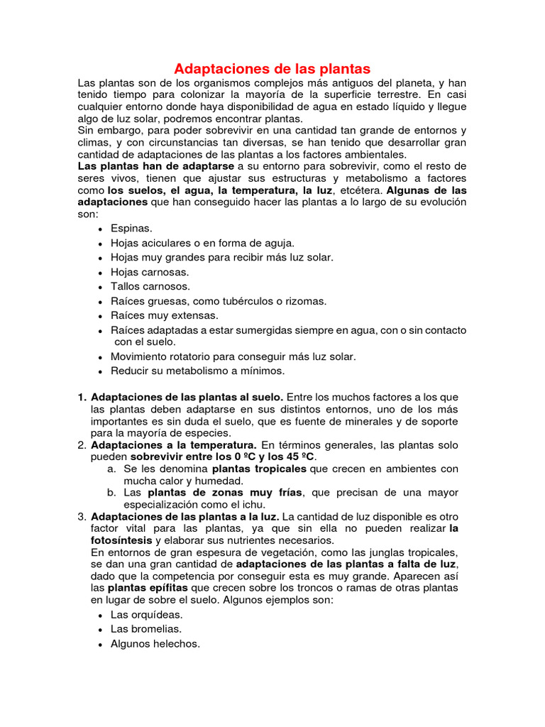Adaptaciones de Las Plantas | PDF | Plantas | Hoja