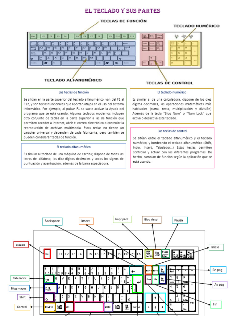 El Teclado y Sus Partes | PDF | Teclado | Archivo de computadora