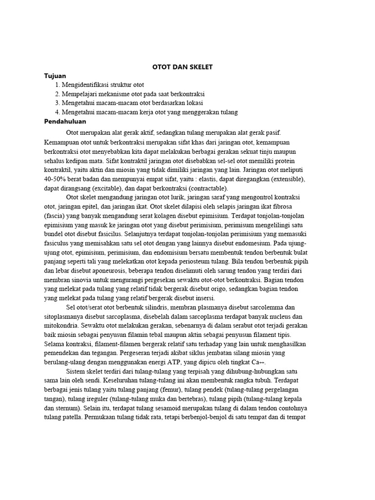 Lks SISTEM OTOT | PDF