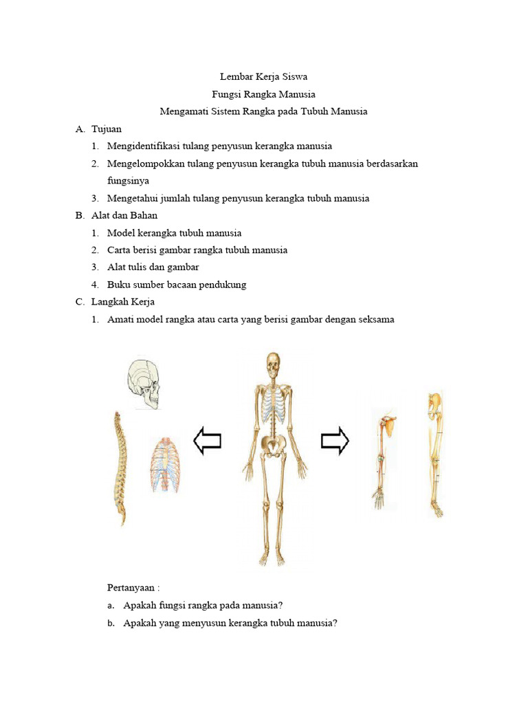 Lembar Kerja Siswa - Rangka | PDF