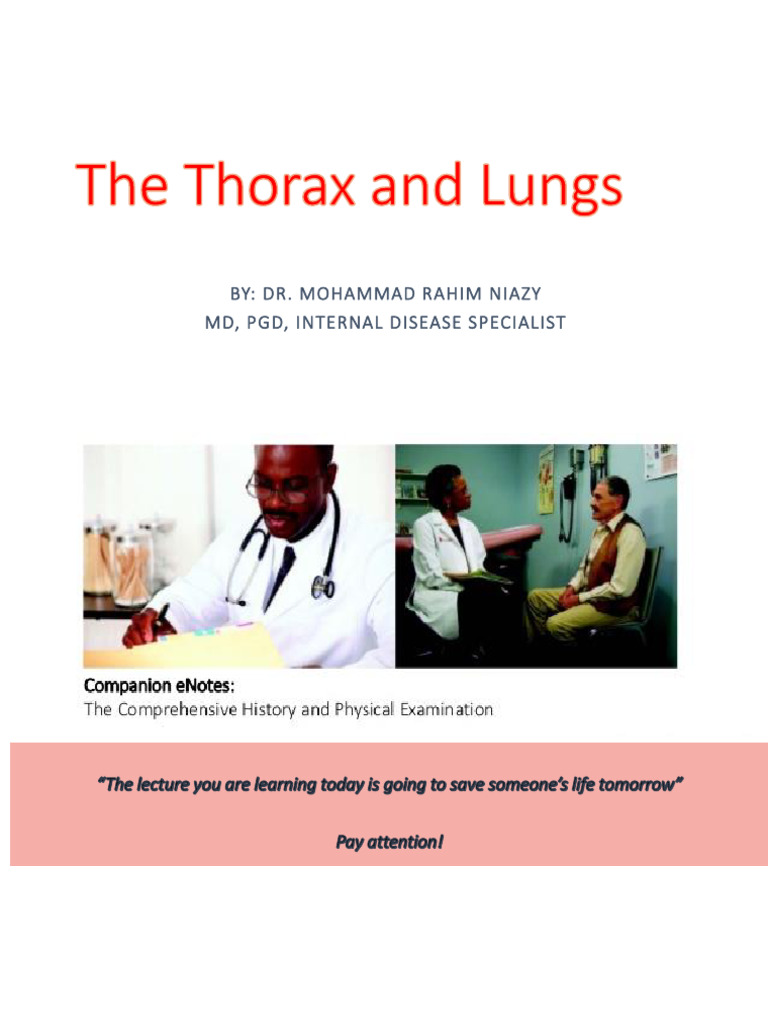 4 - The Thorax and Lungs | PDF | Thorax | Lung