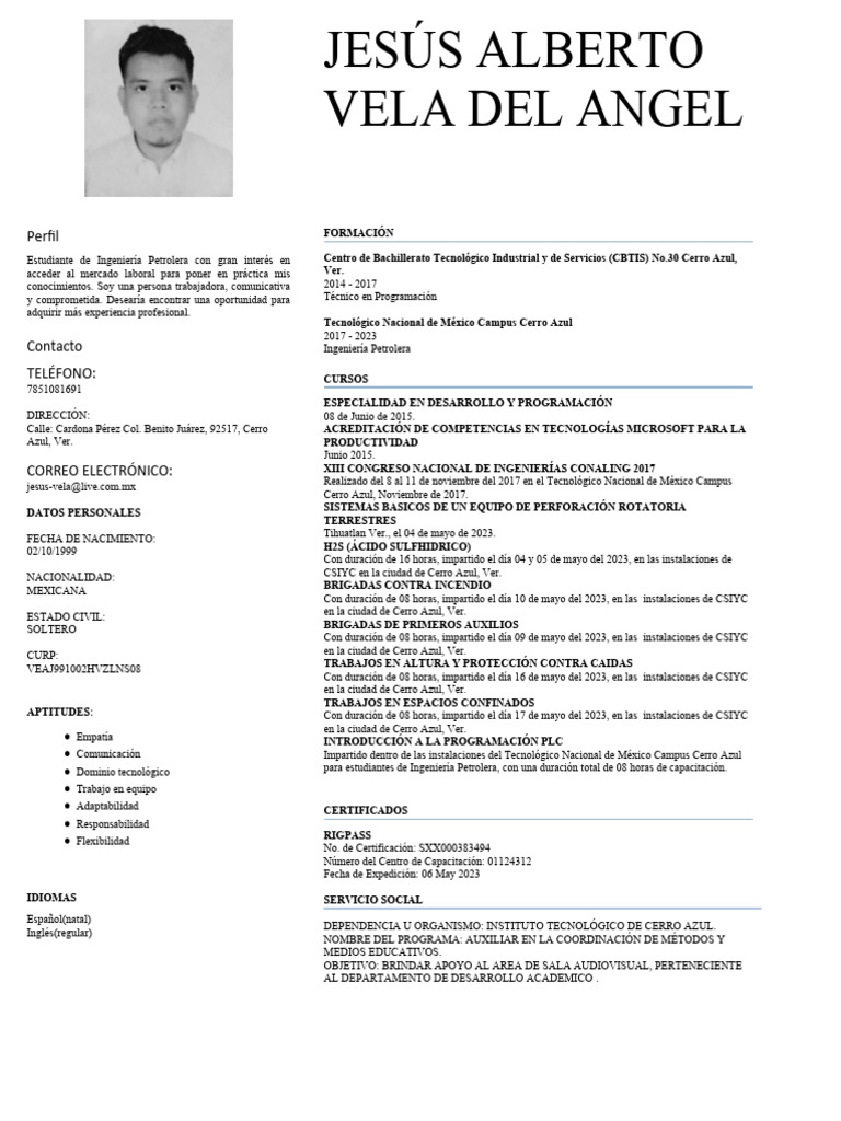 CV - Jesus Vela | PDF | México