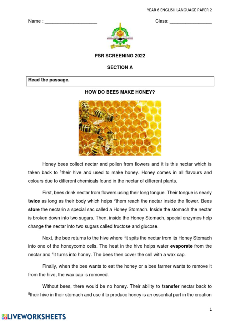 PSR English Language Paper 2 Test | PDF | Honey | Honey Bee