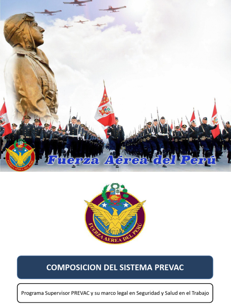 Programa PREVAC en Seguridad Aérea | PDF | Riesgo | Valores