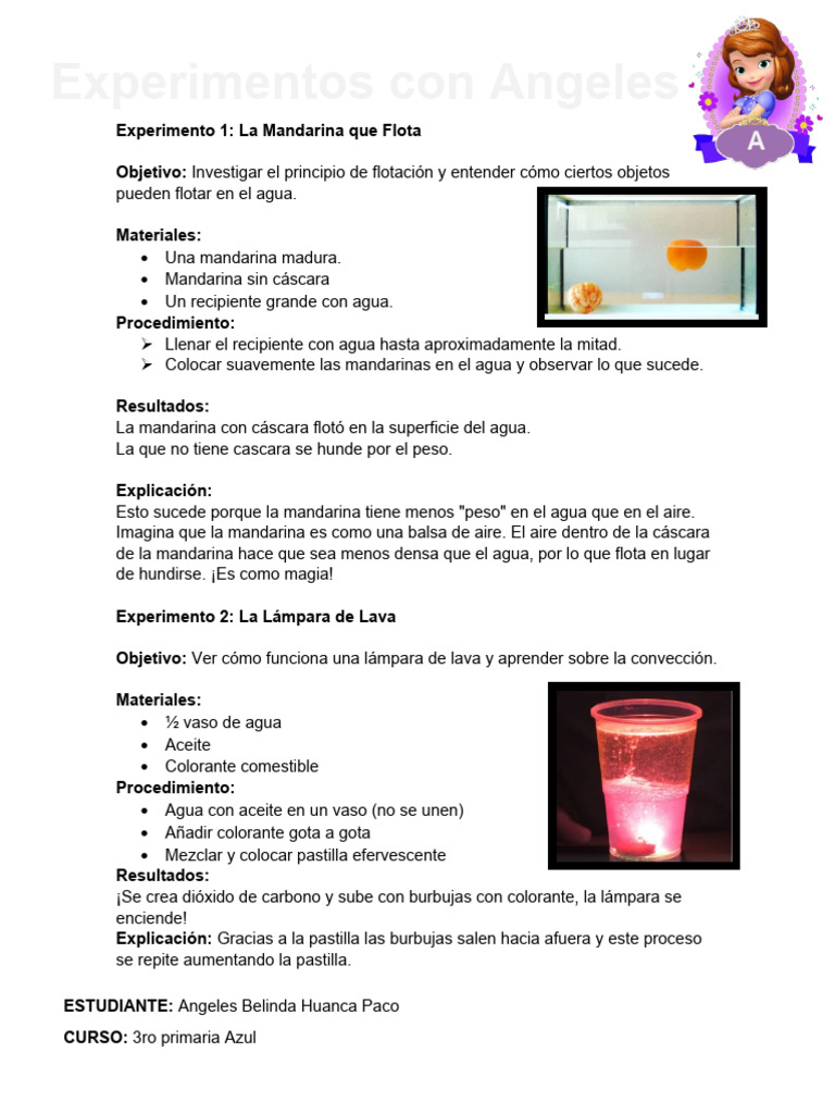 Experimento 1 | PDF