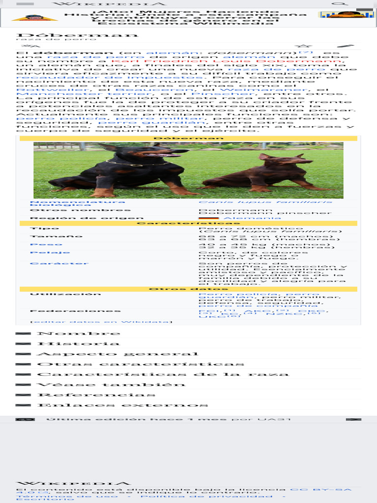 Dóberman - Wikipedia, La Enciclopedia Libre | PDF | Perros como ...