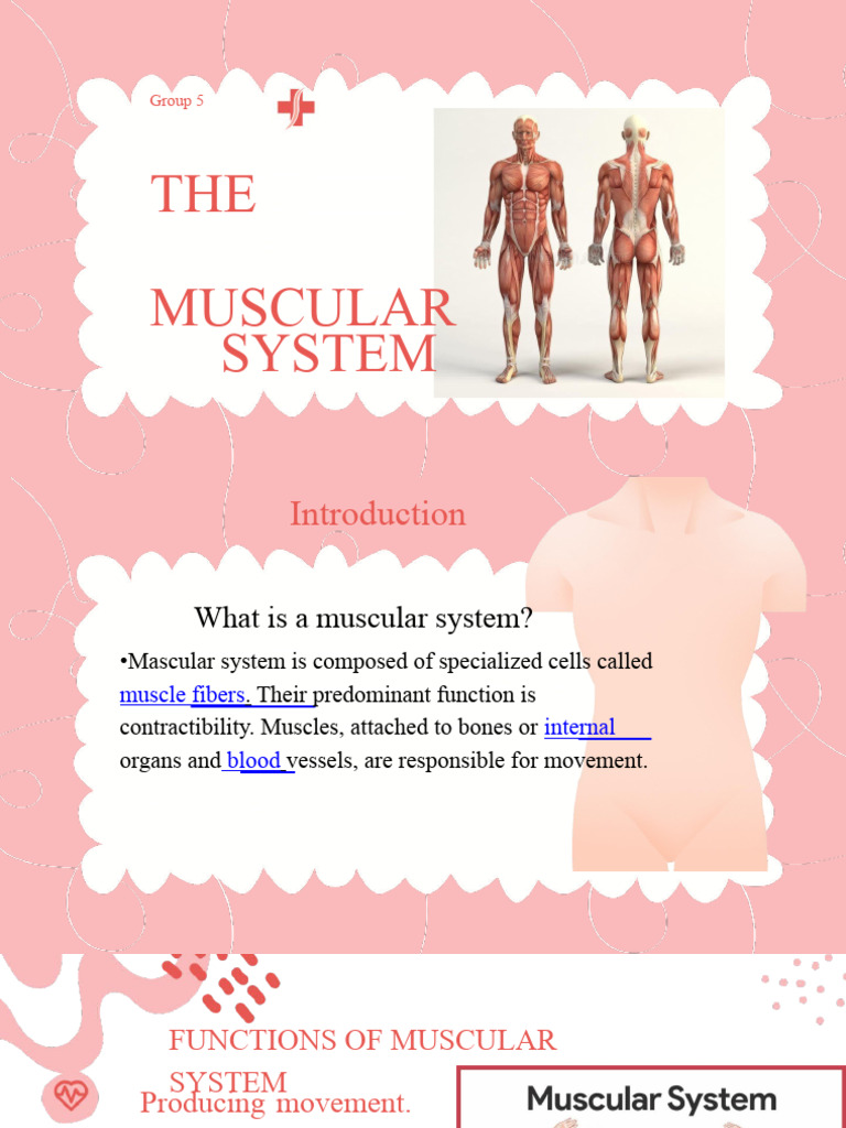 Pink Illustrative The Human Body Presentation | Download Free PDF ...