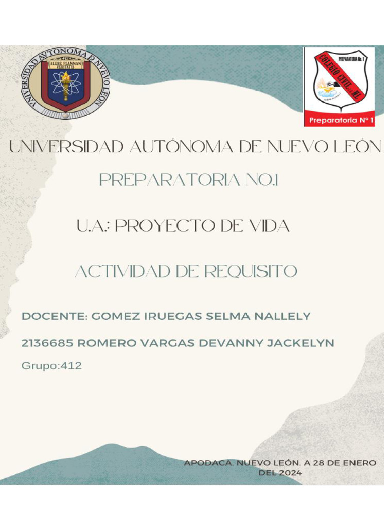 Dim1Etapa1 ProVi | PDF