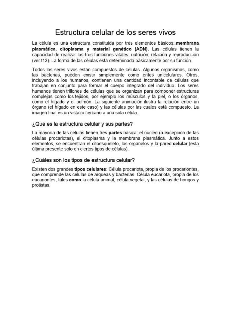 Estructura Celular de Los Seres Vivos | PDF