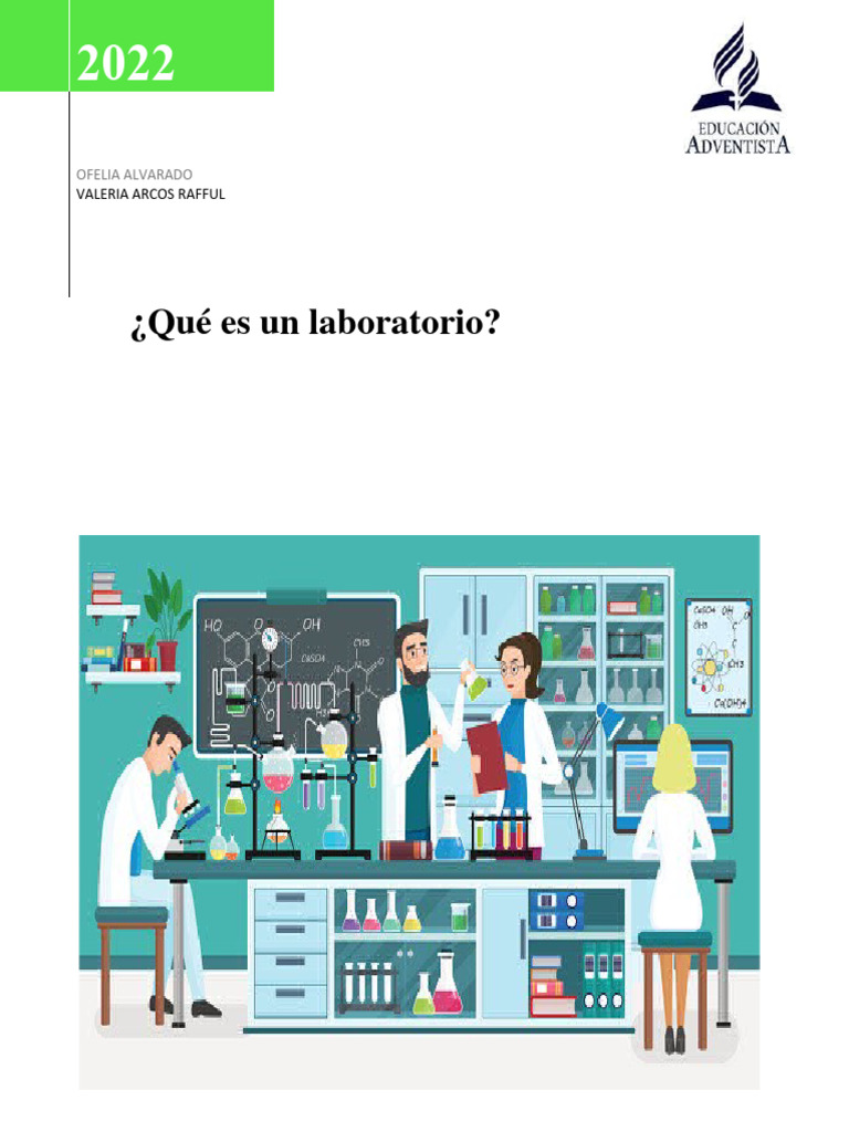 Tipos de Laboratorios | PDF