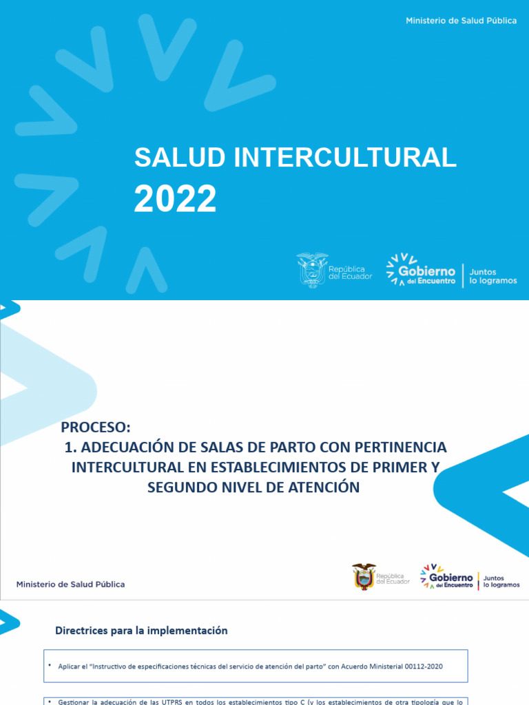 Informes Salud Interc 2022 | PDF