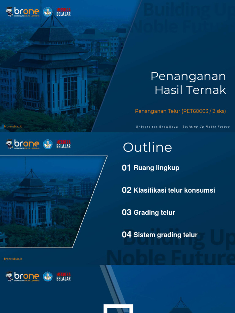 Grading dan Klasifikasi Telur | PDF