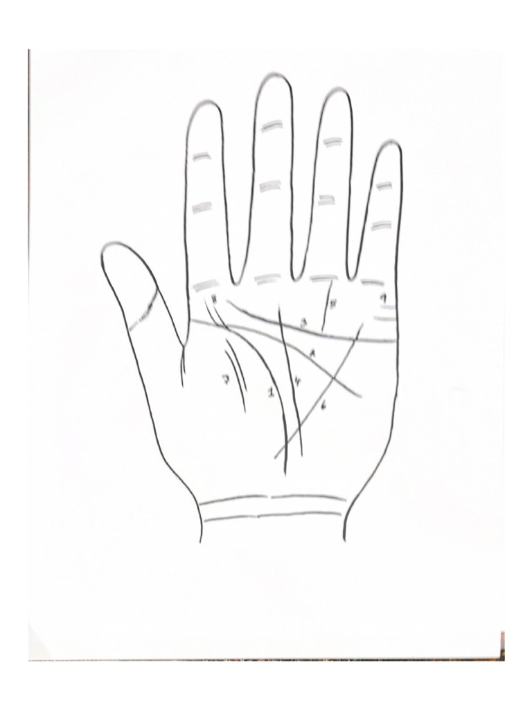 Empty Palm files | PDF