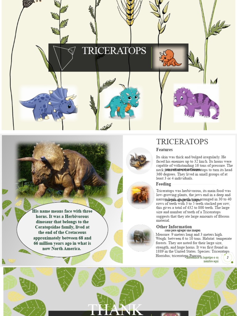 Triceratops P. | PDF | Zoology