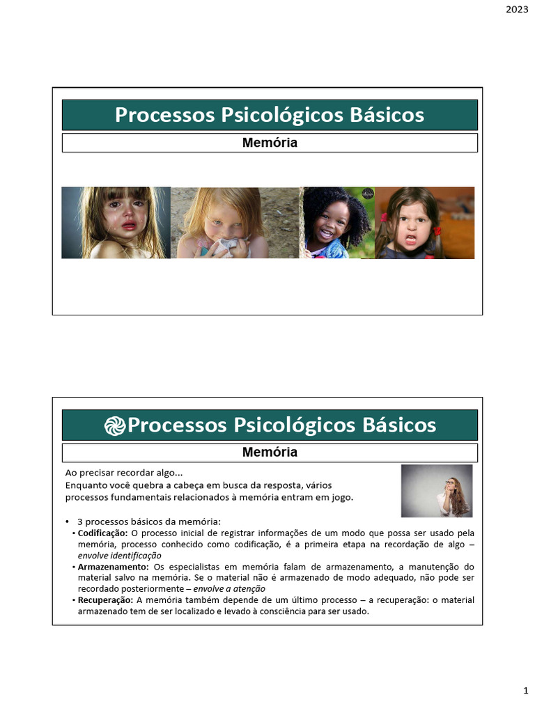3 Slides Memoria 2023 Completo Pdf Memória Amnésia