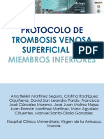 Doppler Venoso Mmii Safena Magna y Parva | PDF | Vena | Sistema ...