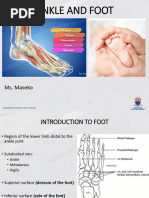Footand Ankle Anatomy Labeling Lab | PDF | Foot | Ankle