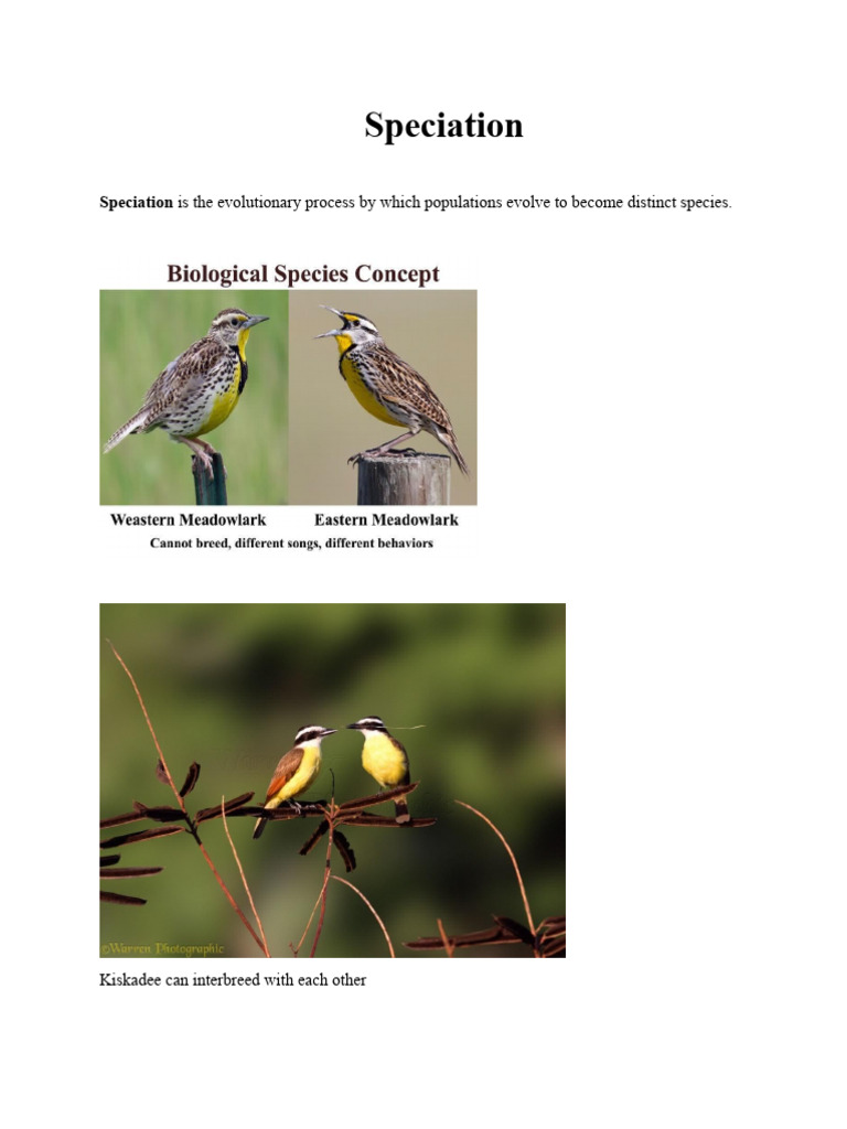 CSEC Biology- Speciation | PDF | Species | Hybrid (Biology)