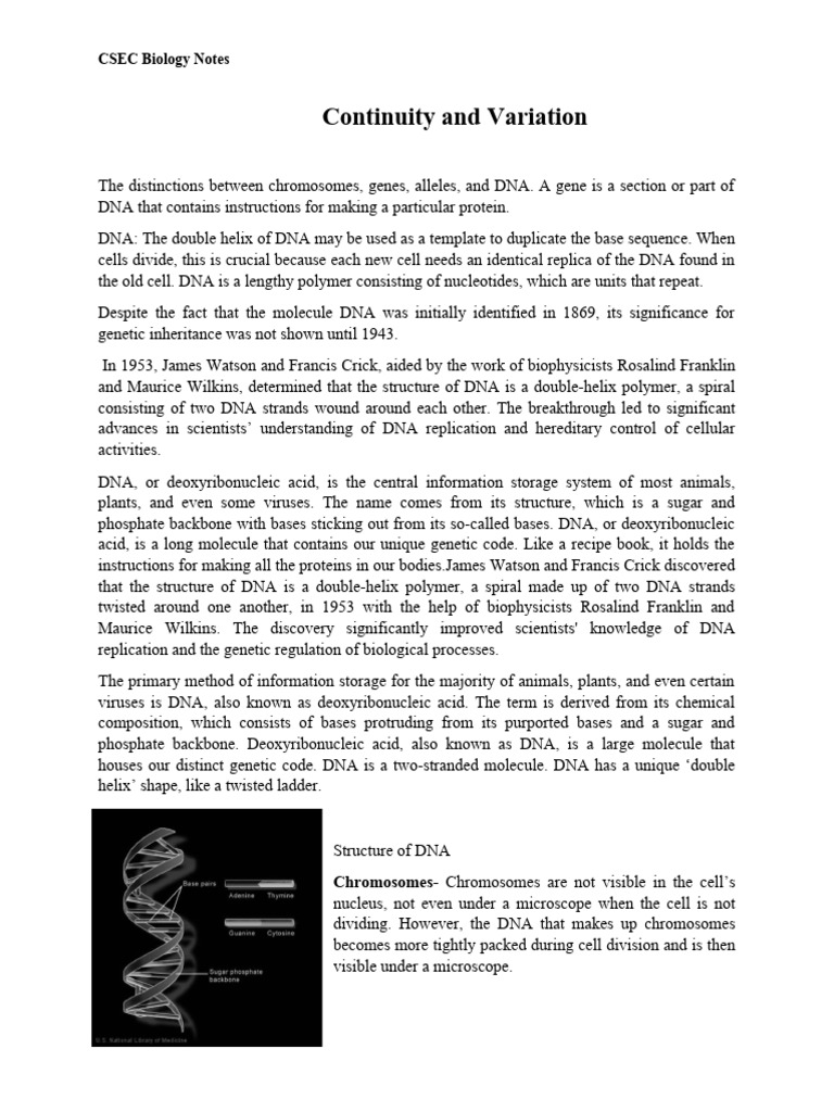 CSEC Biology - Continuity and Variation | PDF | Dna | Genetics