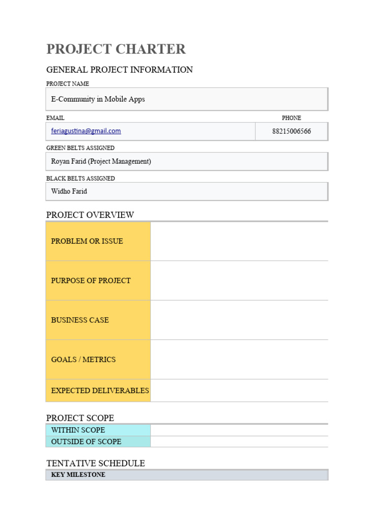 Project Charter | PDF | Project Management | Business
