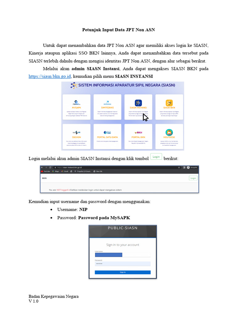 Petunjuk Input Data JPT Non ASN | PDF