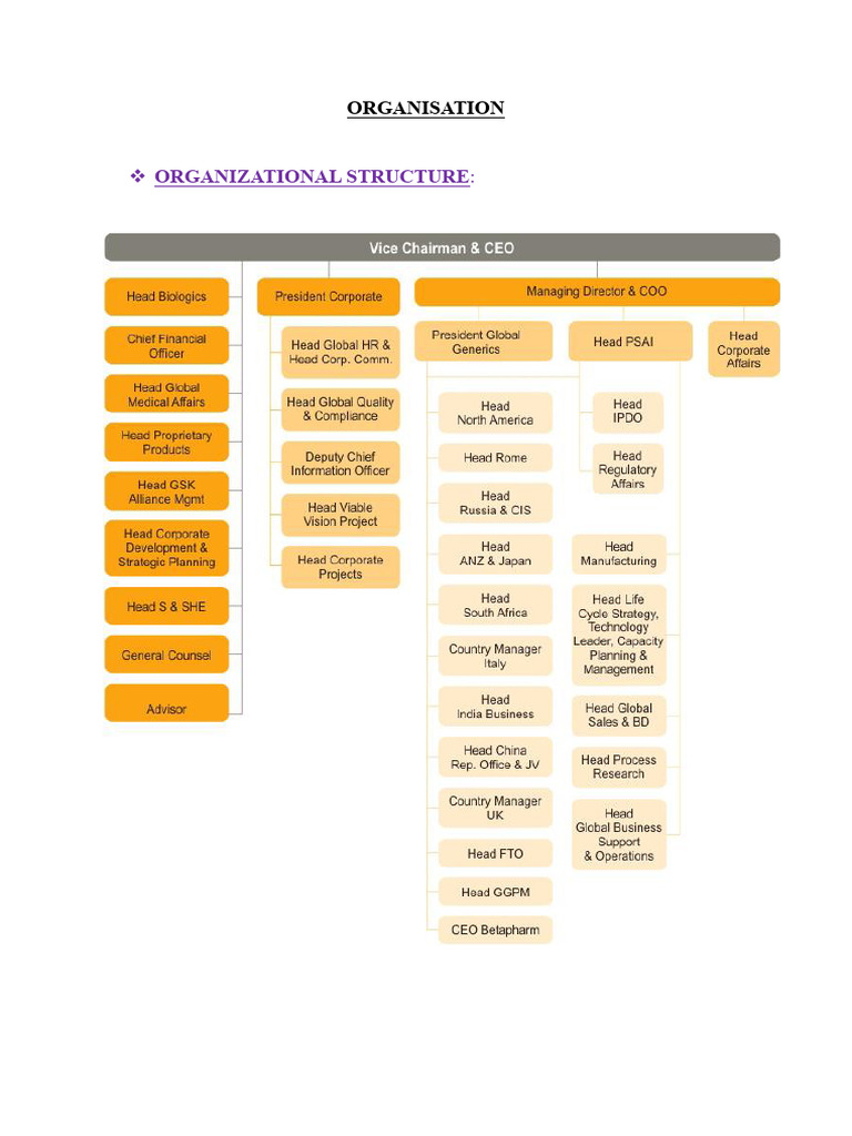 DR Reddy's PVT LTD Report | PDF