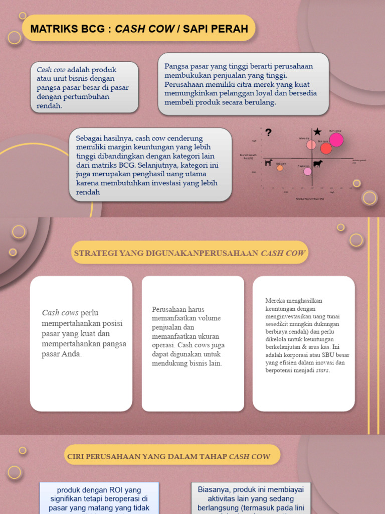 Matriks BCG | PDF | Pengelolaan Keuangan & Uang | Bisnis