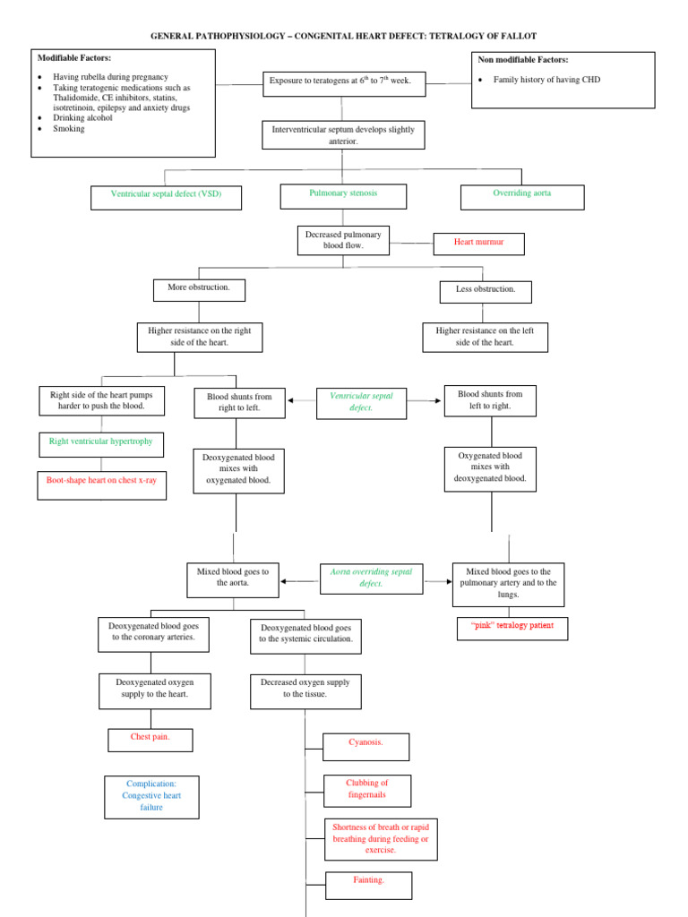 Tof General Patho | PDF | Congenital Heart Defect | Heart