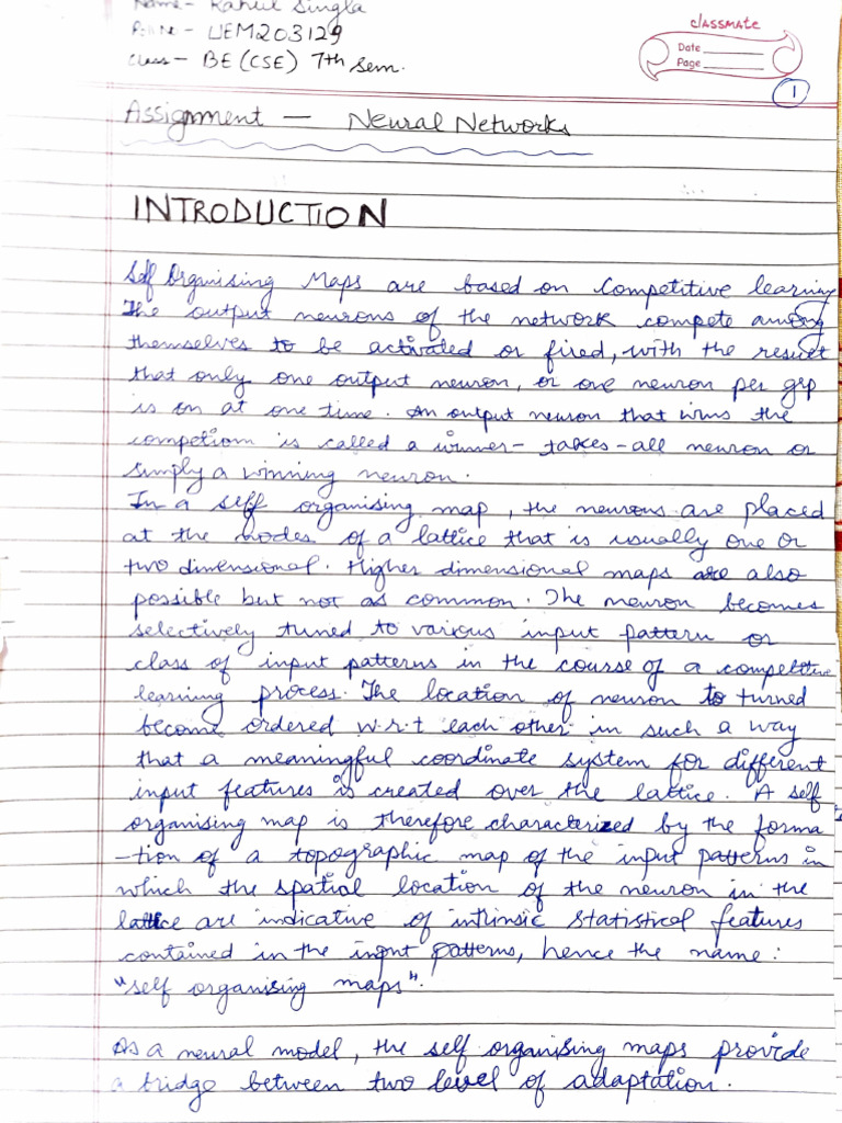 Neural Network Assignment Self Organizing Maps | PDF