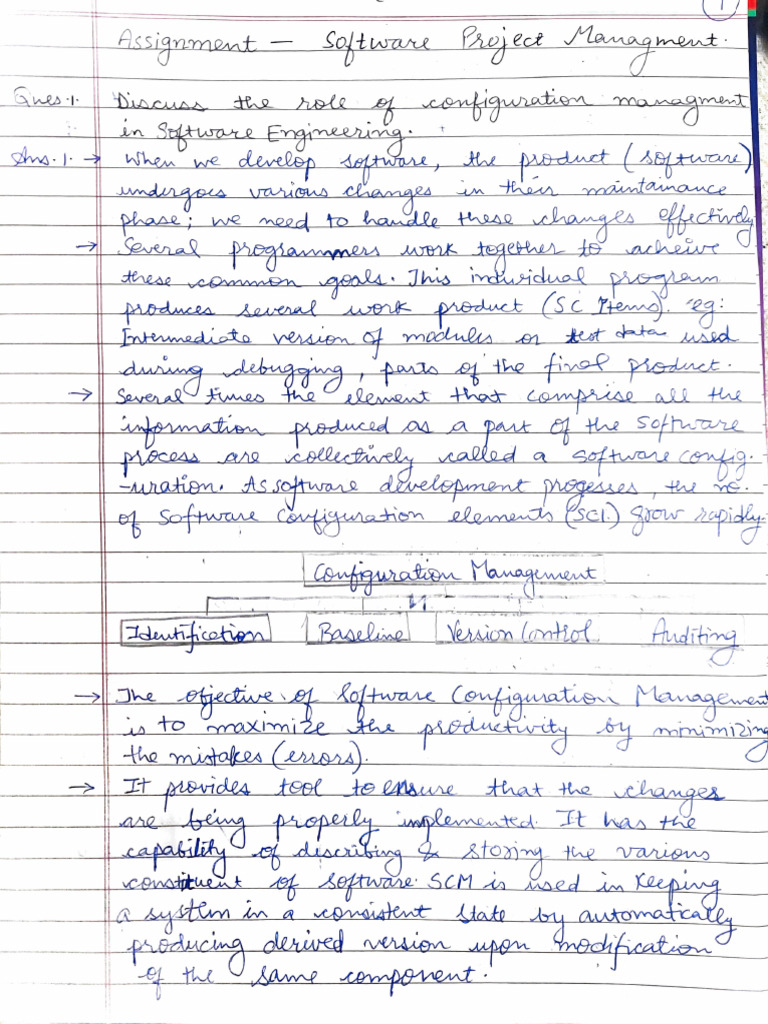 Software Project Management Assignment | PDF