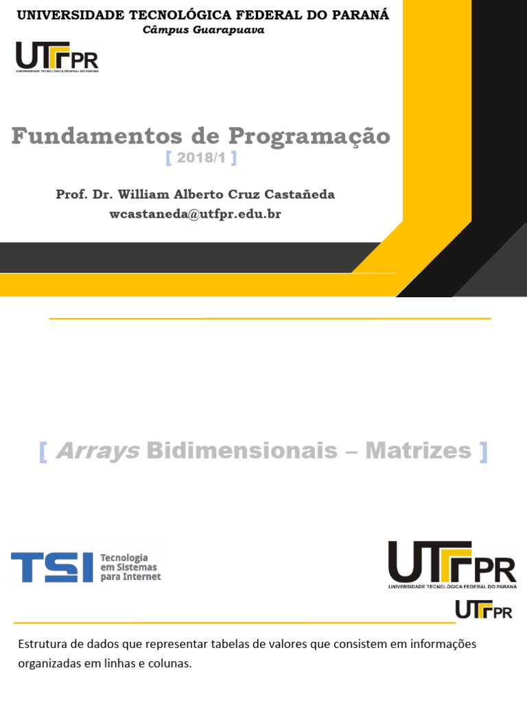 Fundamentos Da Programação - Aula 11 | PDF Fundamentos Da Programação - Aula 11 | PDF