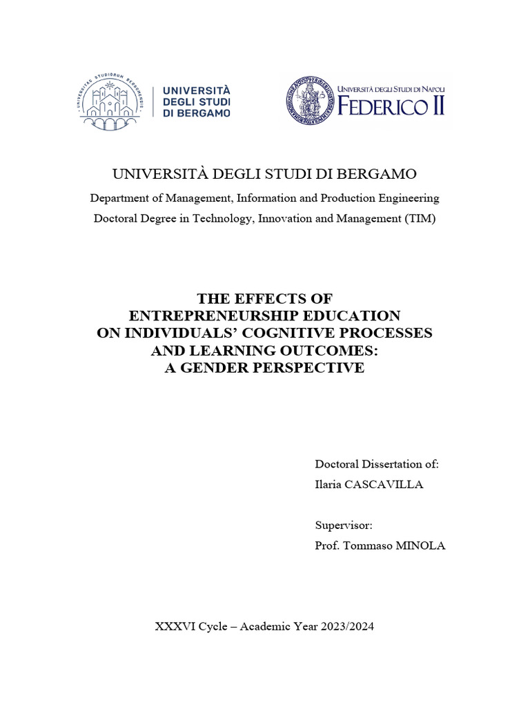 Cascavilla - Final Dissertation - Revision | PDF | Entrepreneurship | Learning