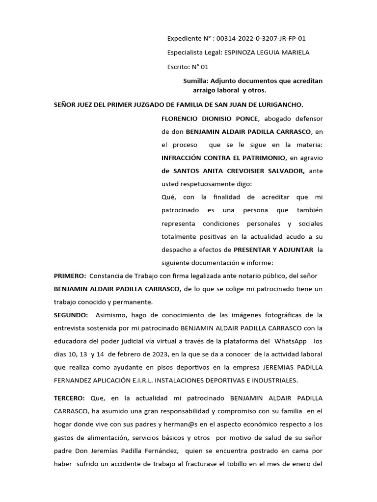Adjunto Constancia de Trabajo y Otros - Aldair Padilla | PDF | Gobierno