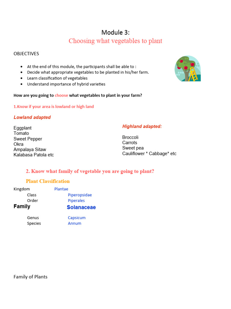 Module 3 | PDF
