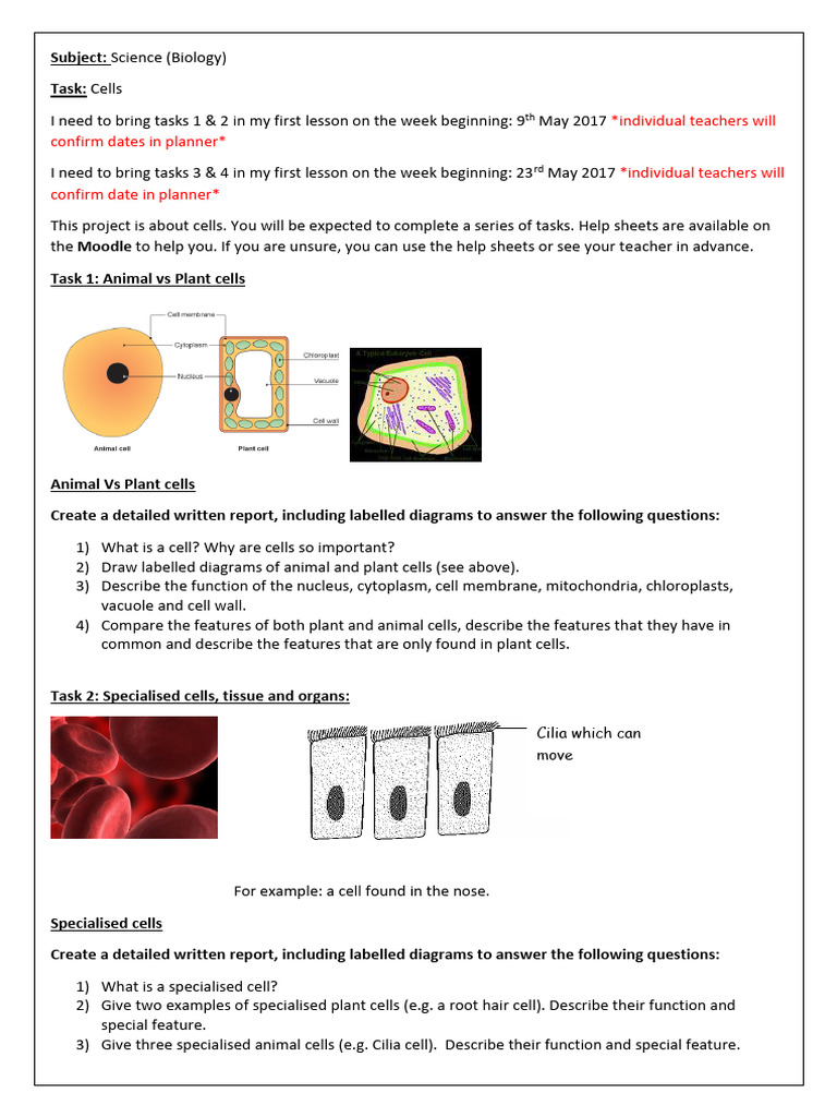 Cells Task | PDF | Cell (Biology) | Dieting