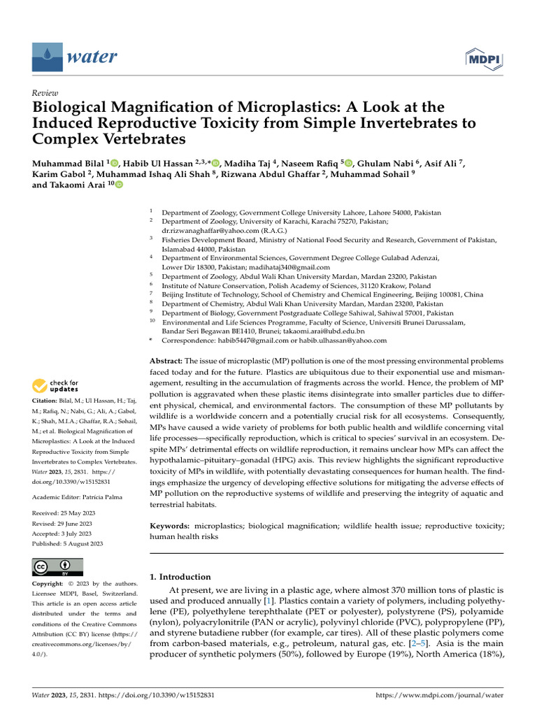 Biological Magnification of Microplastics | PDF | Plastic | Testicle