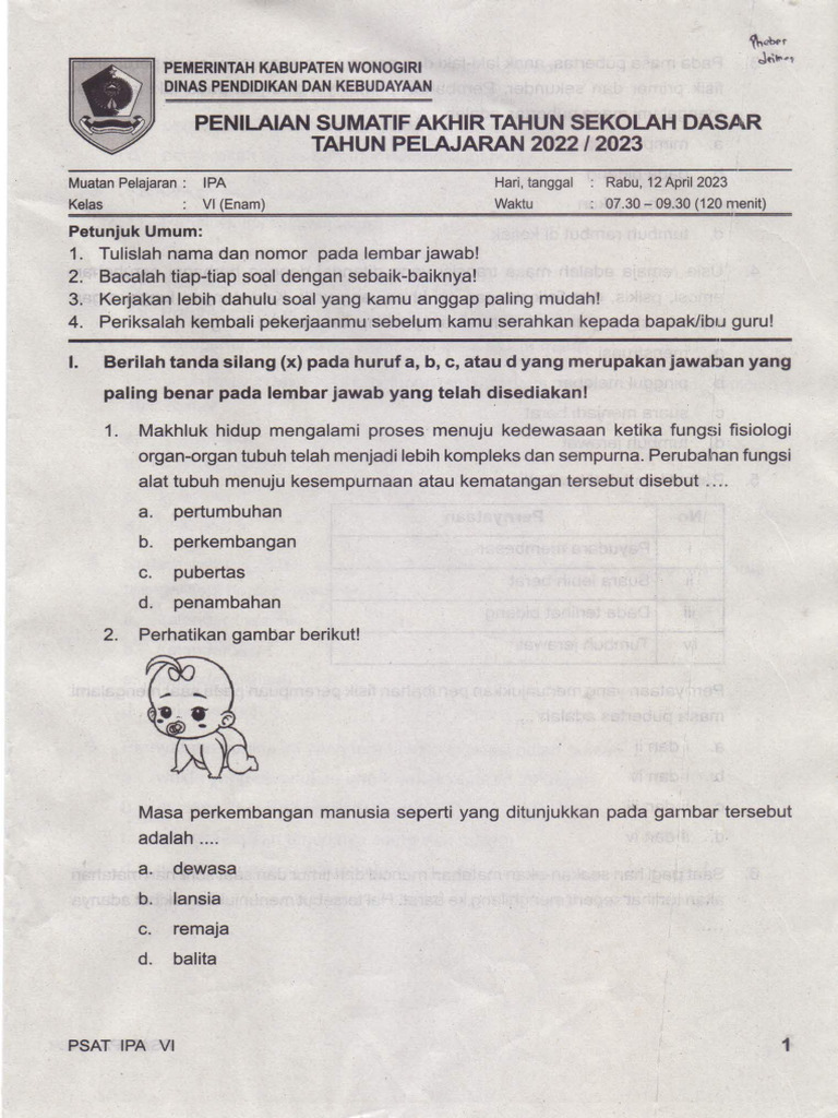 Pat - KLS.6 - TP 2022-2023 - Ipa | PDF