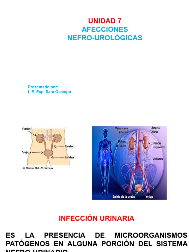 Unidad 8 Nefro-Urológico | PDF