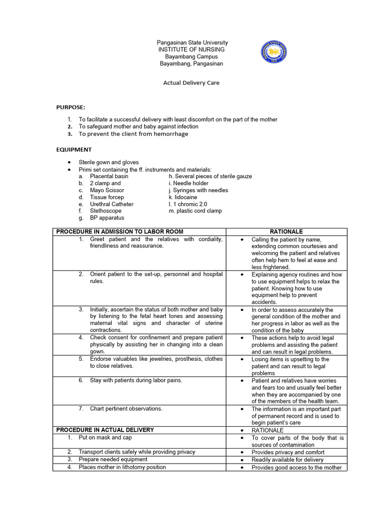 Intrapartal Care Checklist | PDF