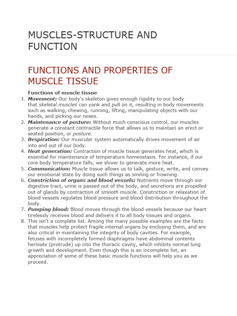 MUSCLES | PDF | Muscle | Elbow