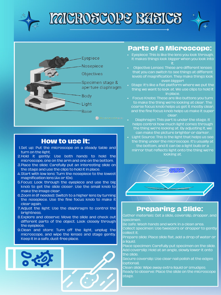 Microscope Basics Biology Classroom Poster in Pink Blue Line Style ...